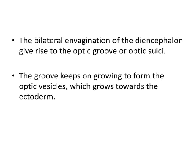 Retina embryology ppt | PPTX