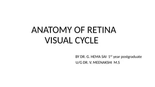 retina GHS anatomy of retina visual cycle.pptx