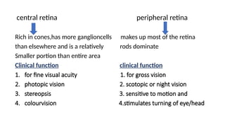 retina GHS anatomy of retina visual cycle.pptx