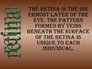 Retinal Pattern Recognition | PPT