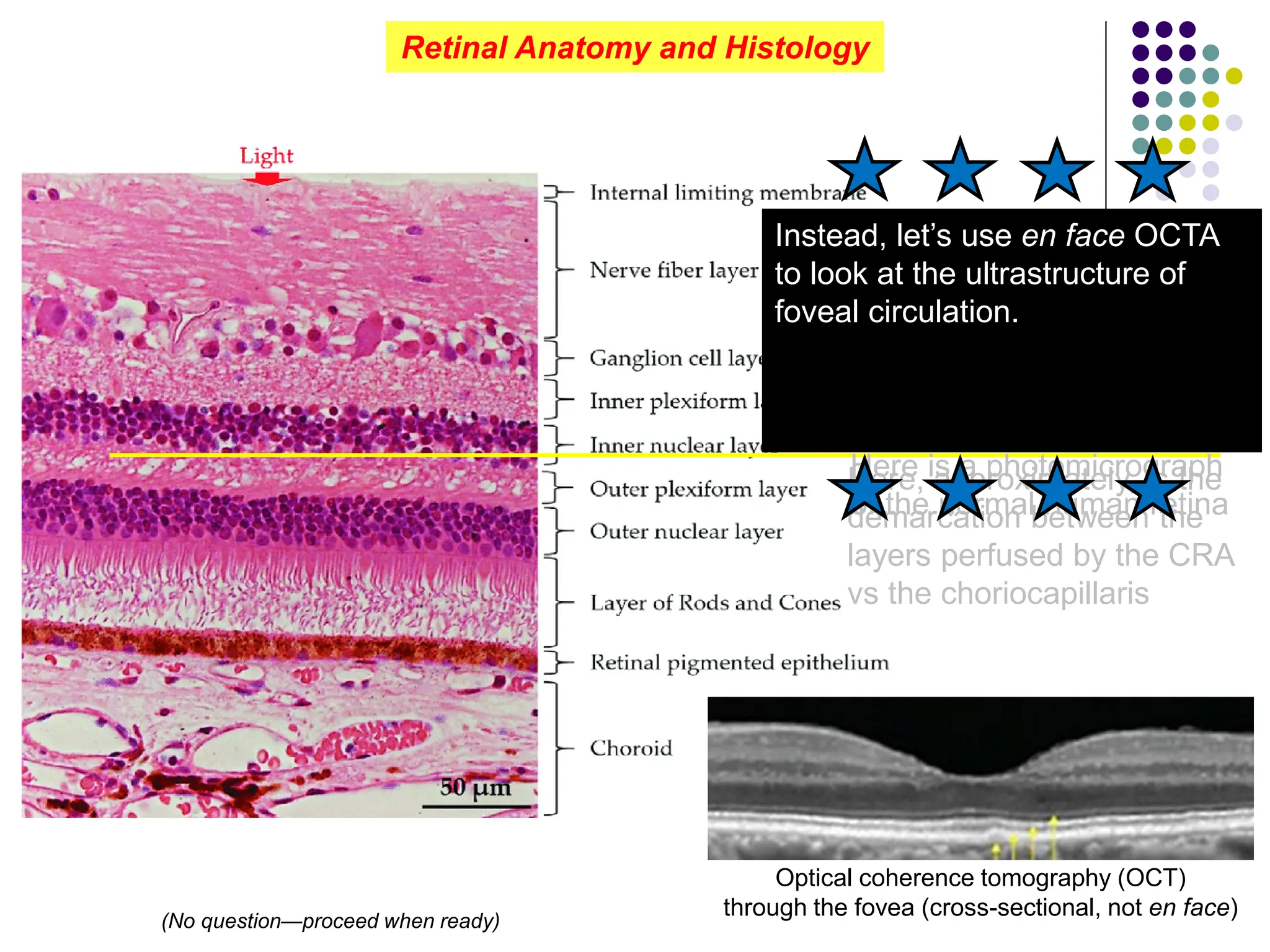 Retinal Anatomy and Histology and Also description about physiology | PDF
