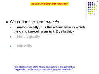 Retinal Anatomy and Histology and Also description about physiology | PDF