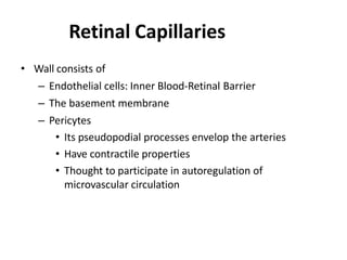Retinal artery macroaneurysm, Primary retinal Telangiectasia | PPTX