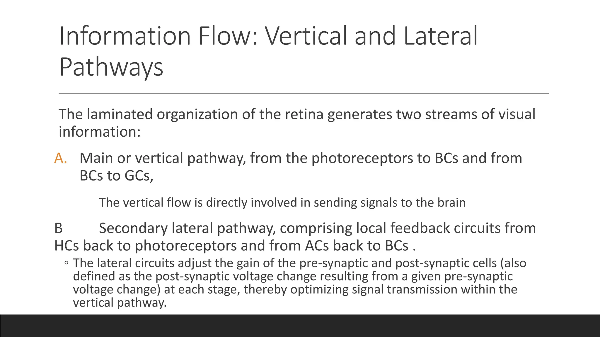 Retinal circuitry | PPT