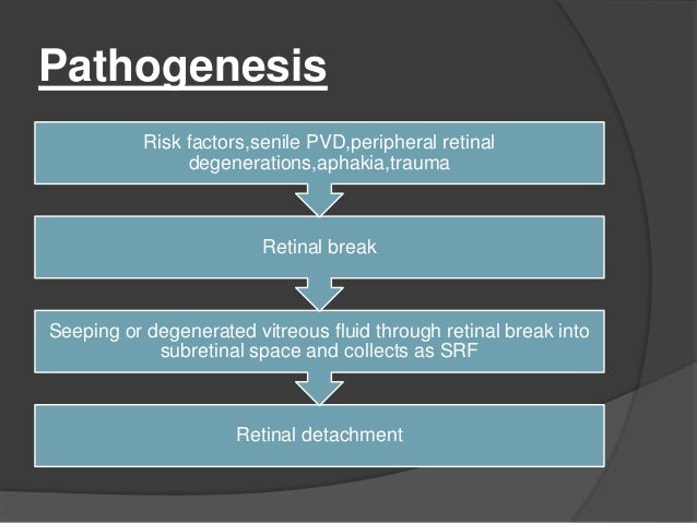 RHEGMATOGENOUS Retinal detachment
