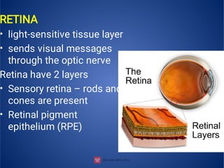Retinal detachment presentation | PDF