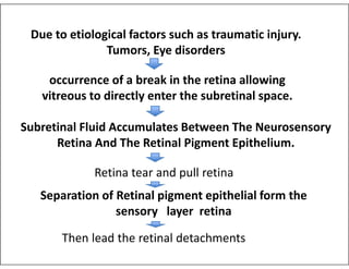 retinal detachment.pdf | Eye and Vision Conditions | Diseases and ...