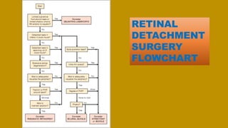 Retinal detachment 2016 | PPTX