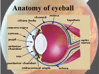 Retinal detachment new | PPTX