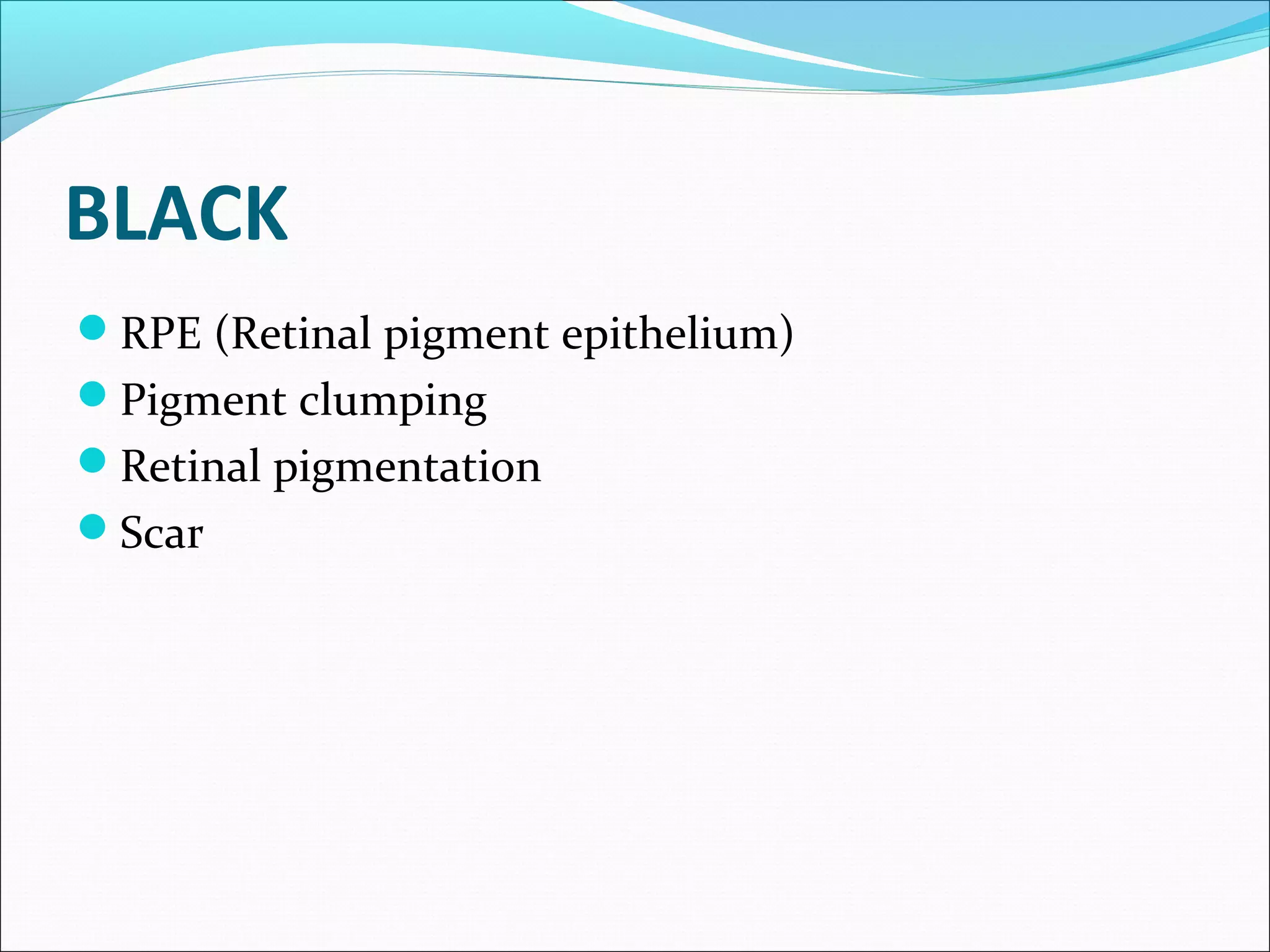 Retinal diagram dr sabin sahu | PPT