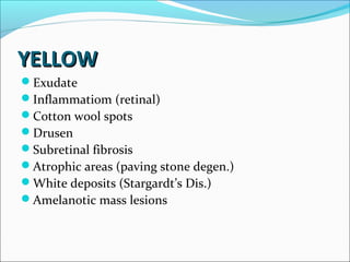 Retinal diagram dr sabin sahu | PPT