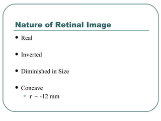 Retinal images | PPT