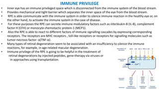 Retinal pigment epithelium | PPTX