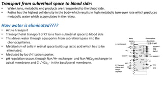 Retinal pigment epithelium | PPTX