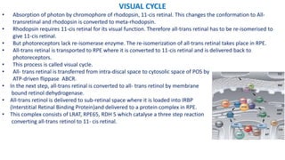 Retinal pigment epithelium | PPTX