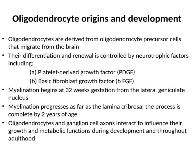 Retinal Pigment Epithelium (RPE).pptx retinal | PPT