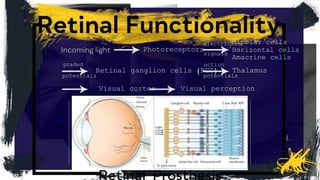 Retinal prosthesis | PPT