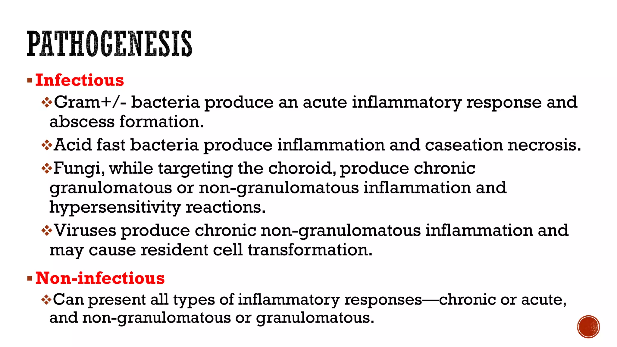 Retinal Vasculitis | PDF