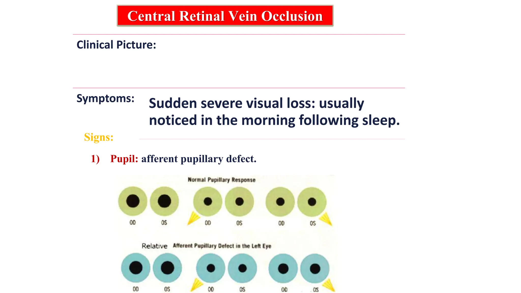 Retina notes for clinical skills.pptx