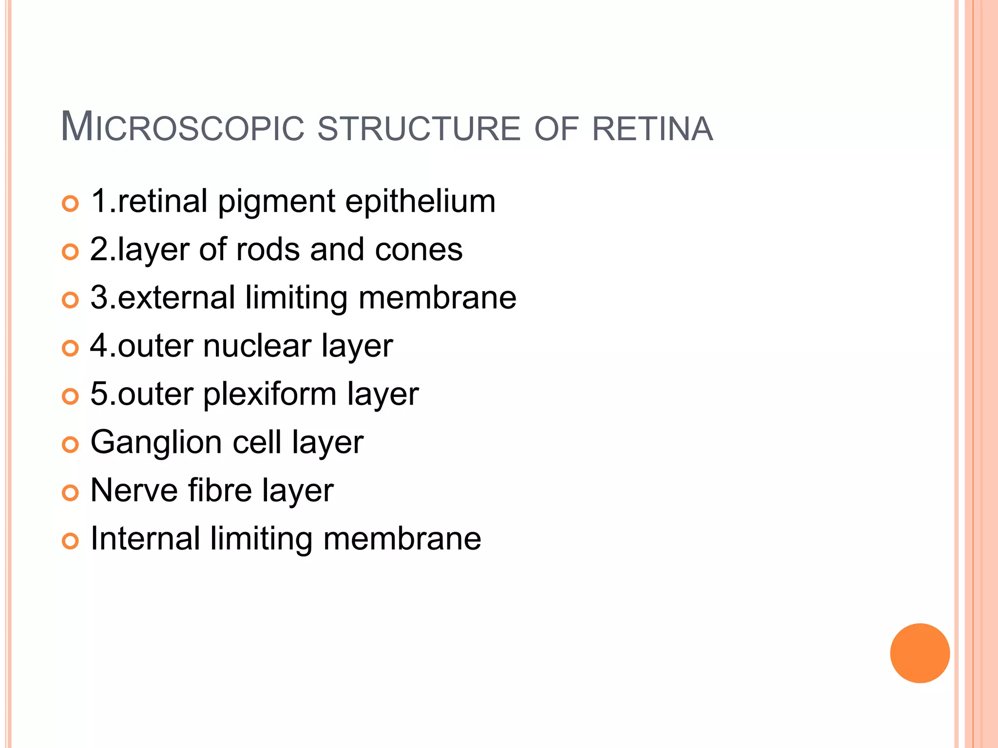 Retina pathology (2) | PPTX