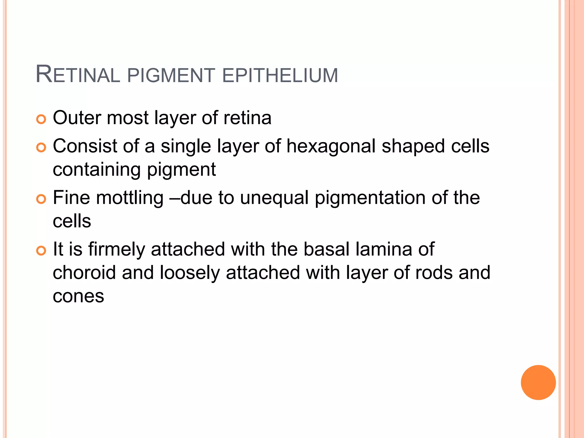 Retina pathology (2) | PPTX