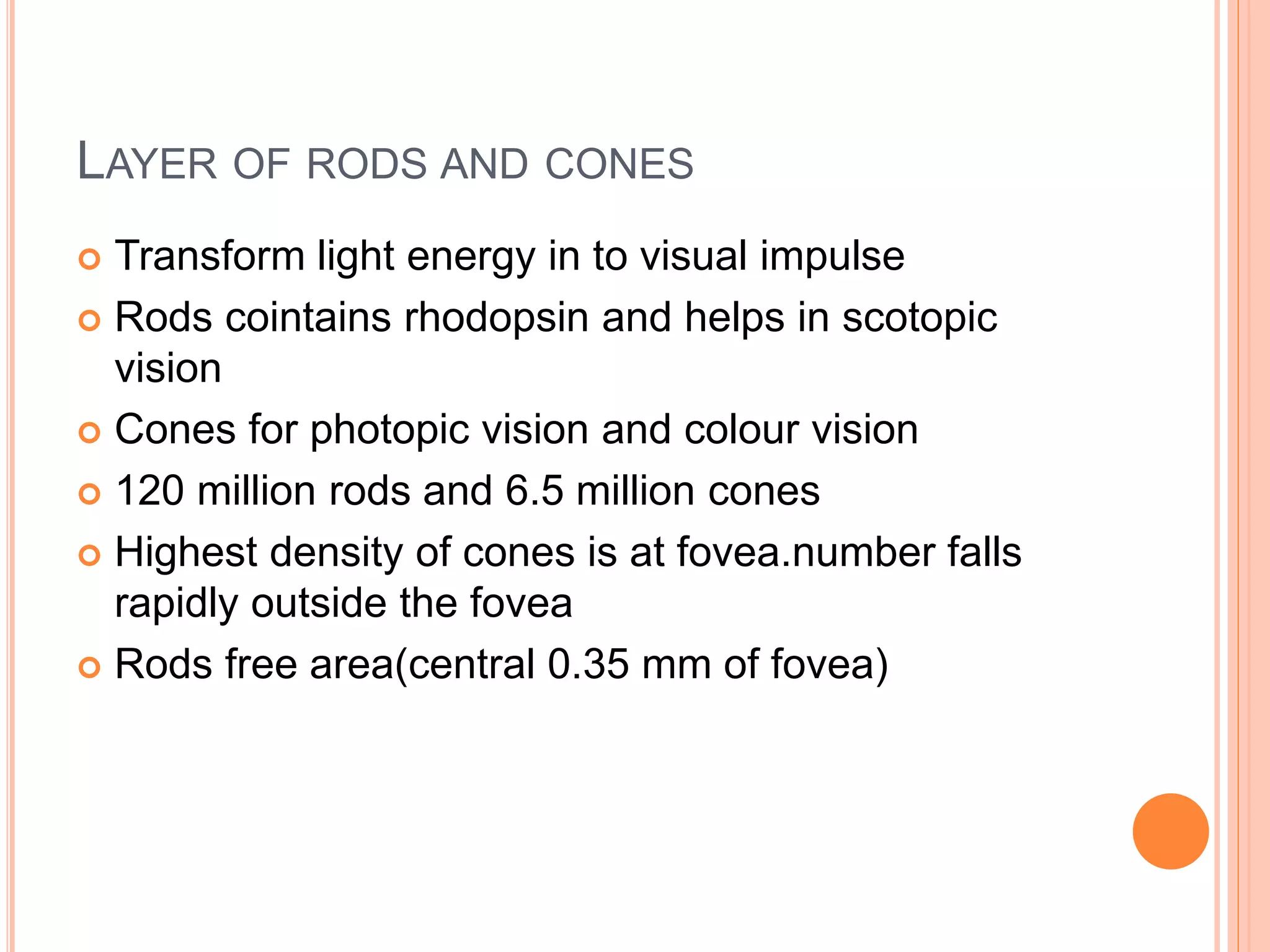 Retina pathology (2) | PPTX