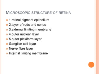 Retina pathology (2) | PPTX