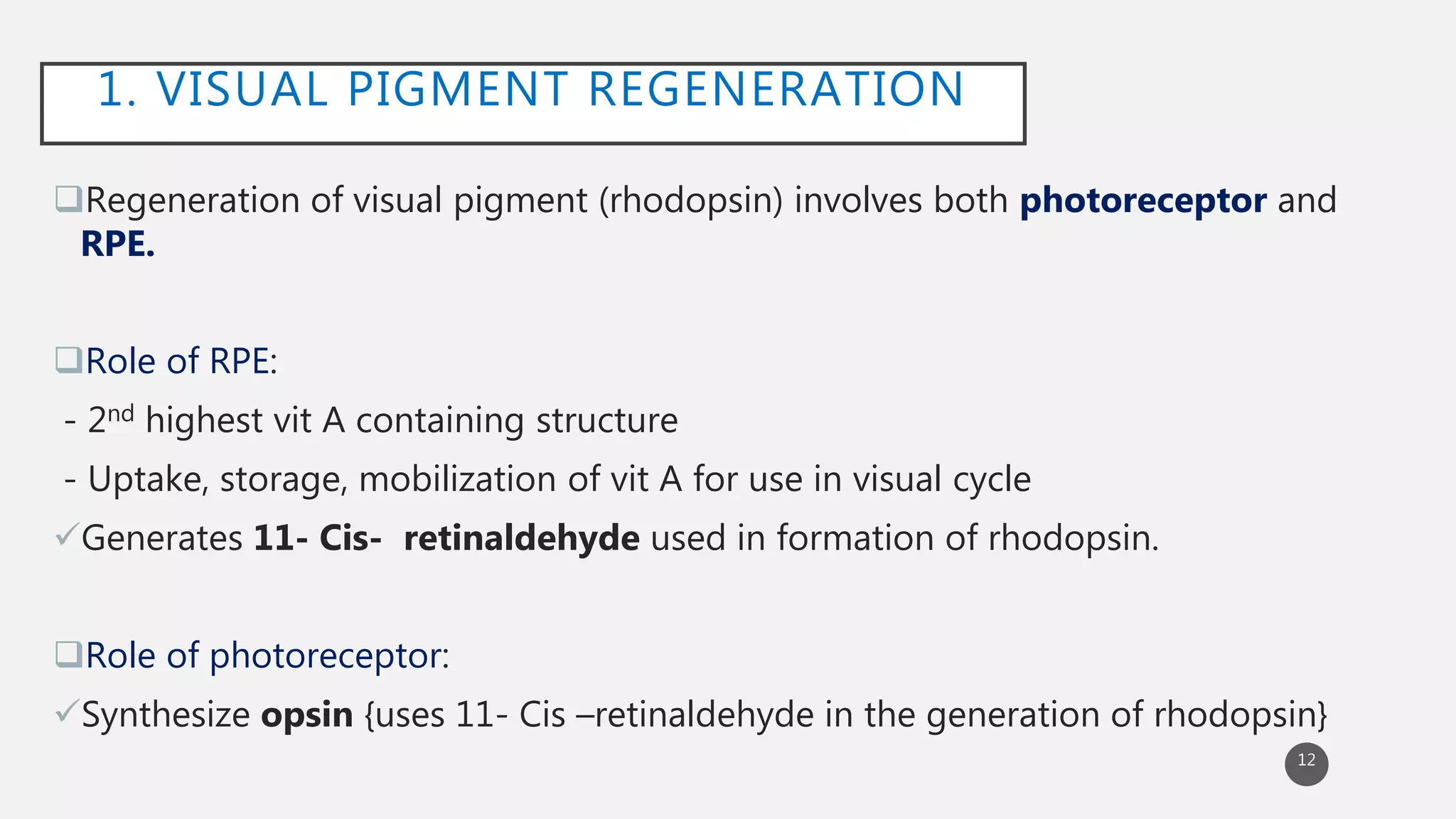 Physiology of Retina | PPTX