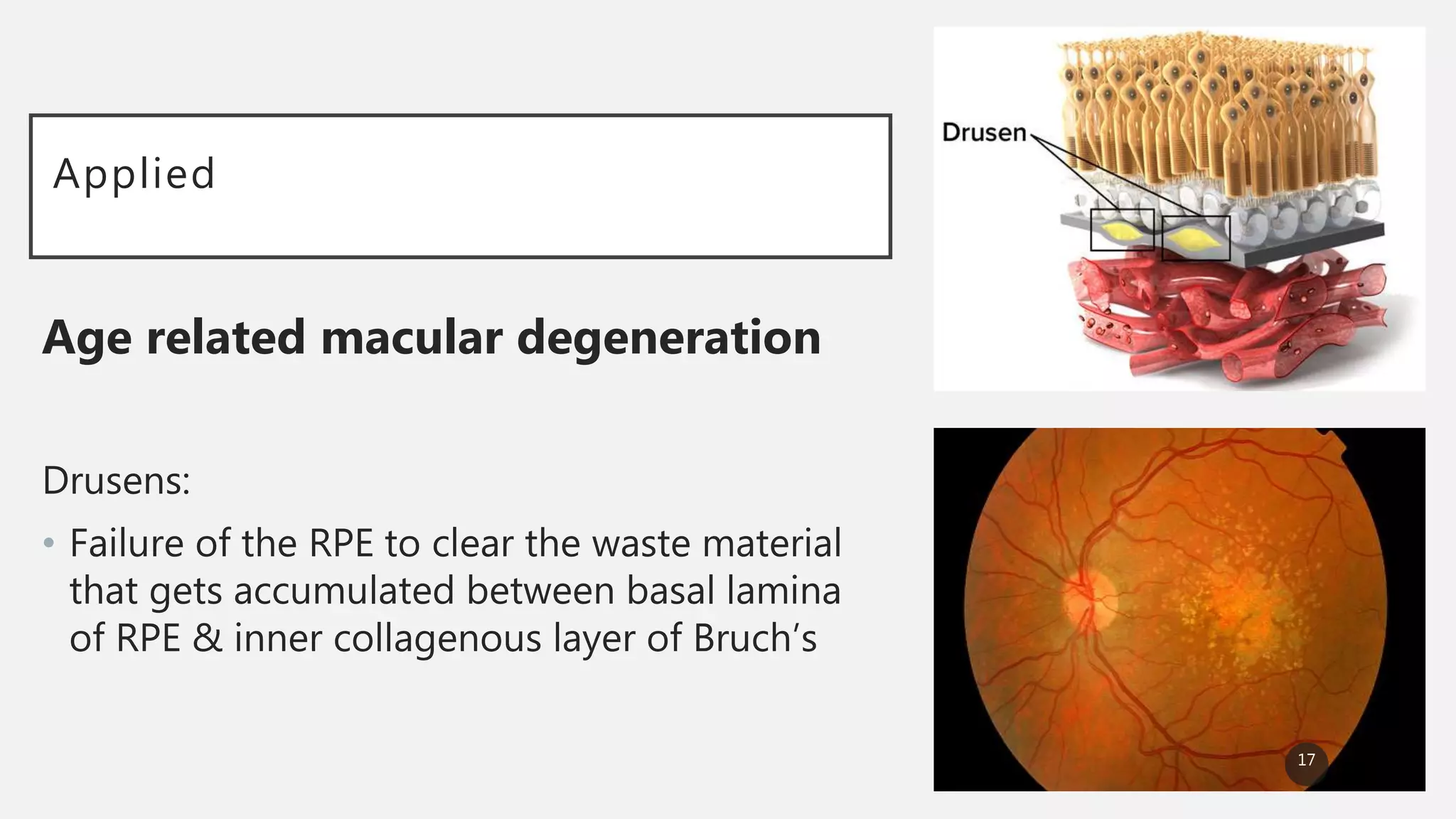 Physiology of Retina | PPTX