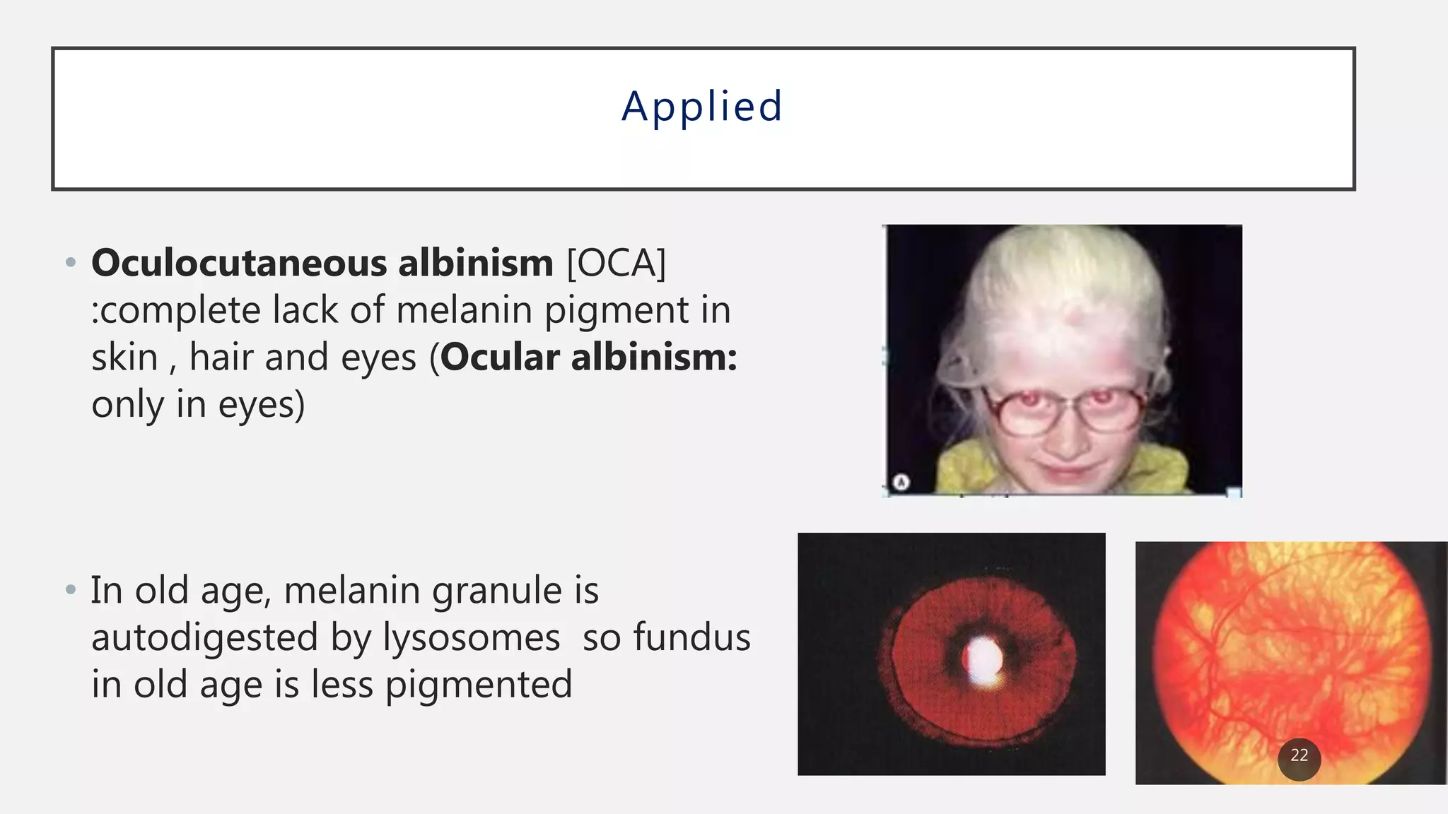 Physiology of Retina | PPTX