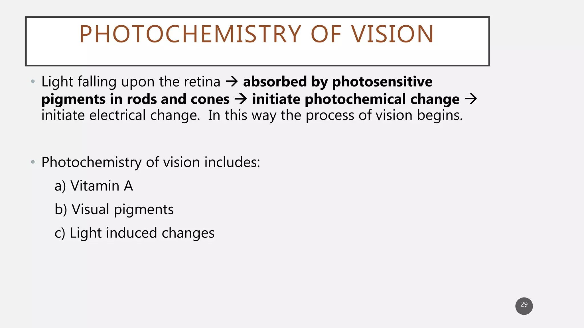 Physiology of Retina | PPTX