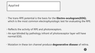 Physiology of Retina | PPTX