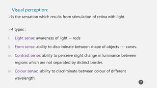 Physiology of Retina | PPTX