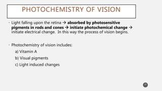 Physiology of Retina | PPTX