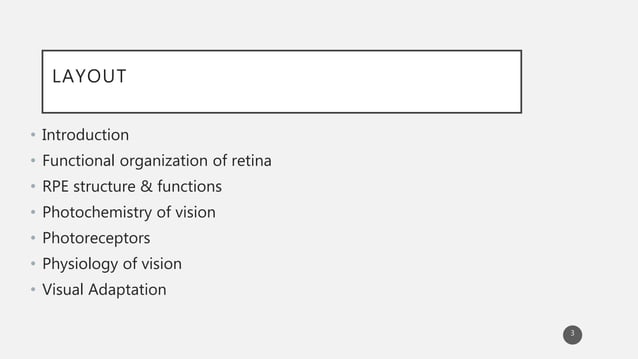 Physiology of Retina | PPTX