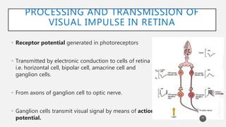 Physiology of Retina | PPTX