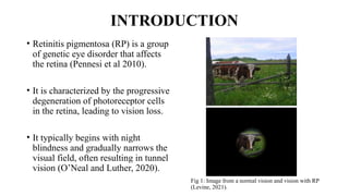 RETINITIS PIGMENTOSA Seminar Presentation | PPTX | Eye and Vision ...