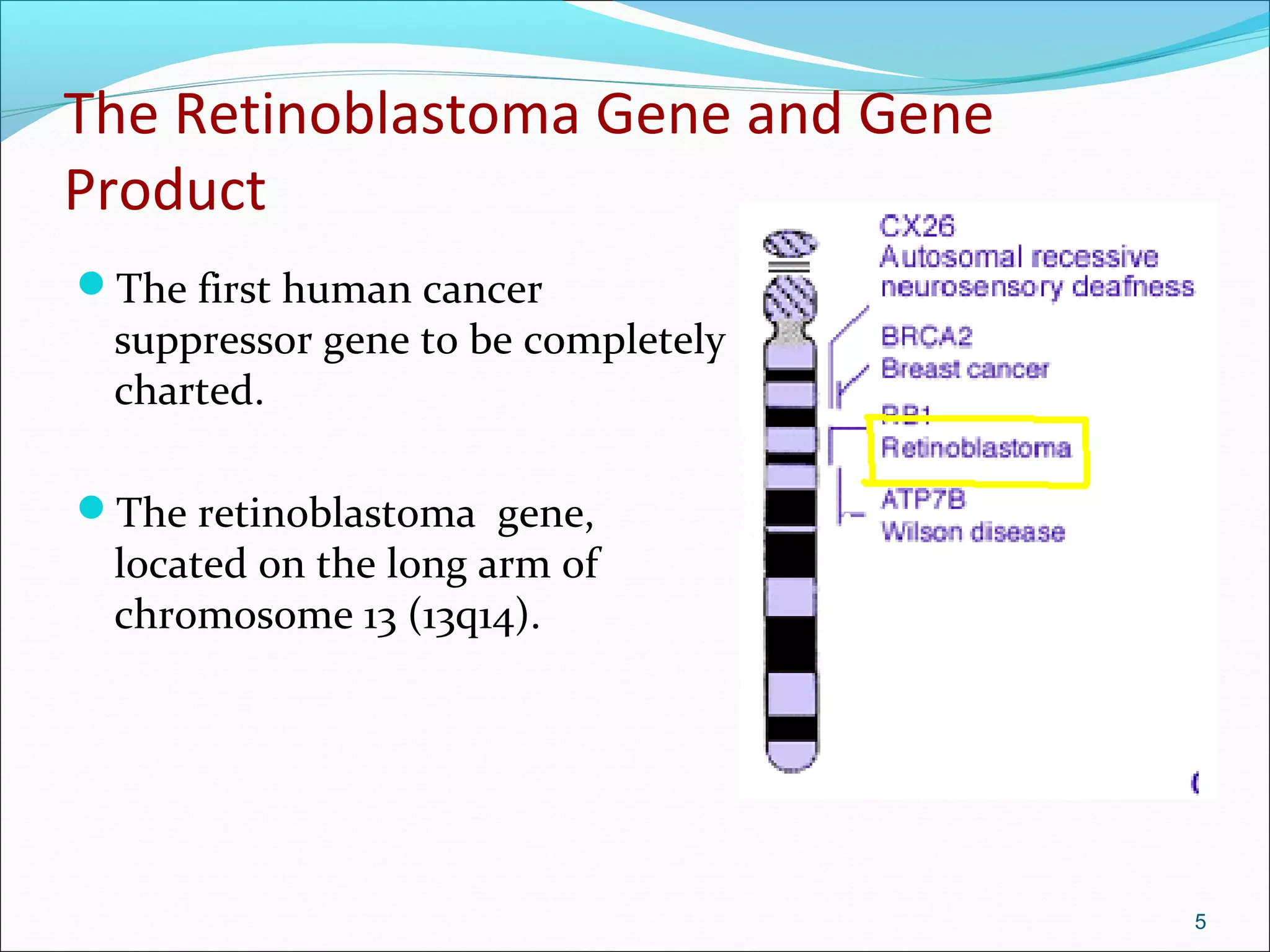 Retinoblastoma | PPT