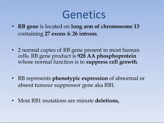 Retinoblastoma | PPTX