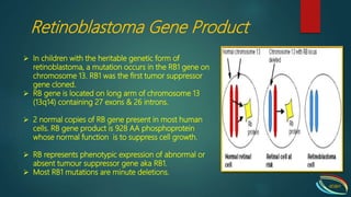 Retinoblastoma Gene Product