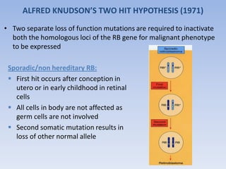 Retinoblastoma | PDF