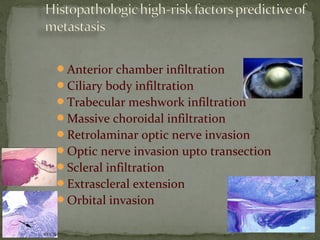 Retinoblastoma (Rb) | PPT