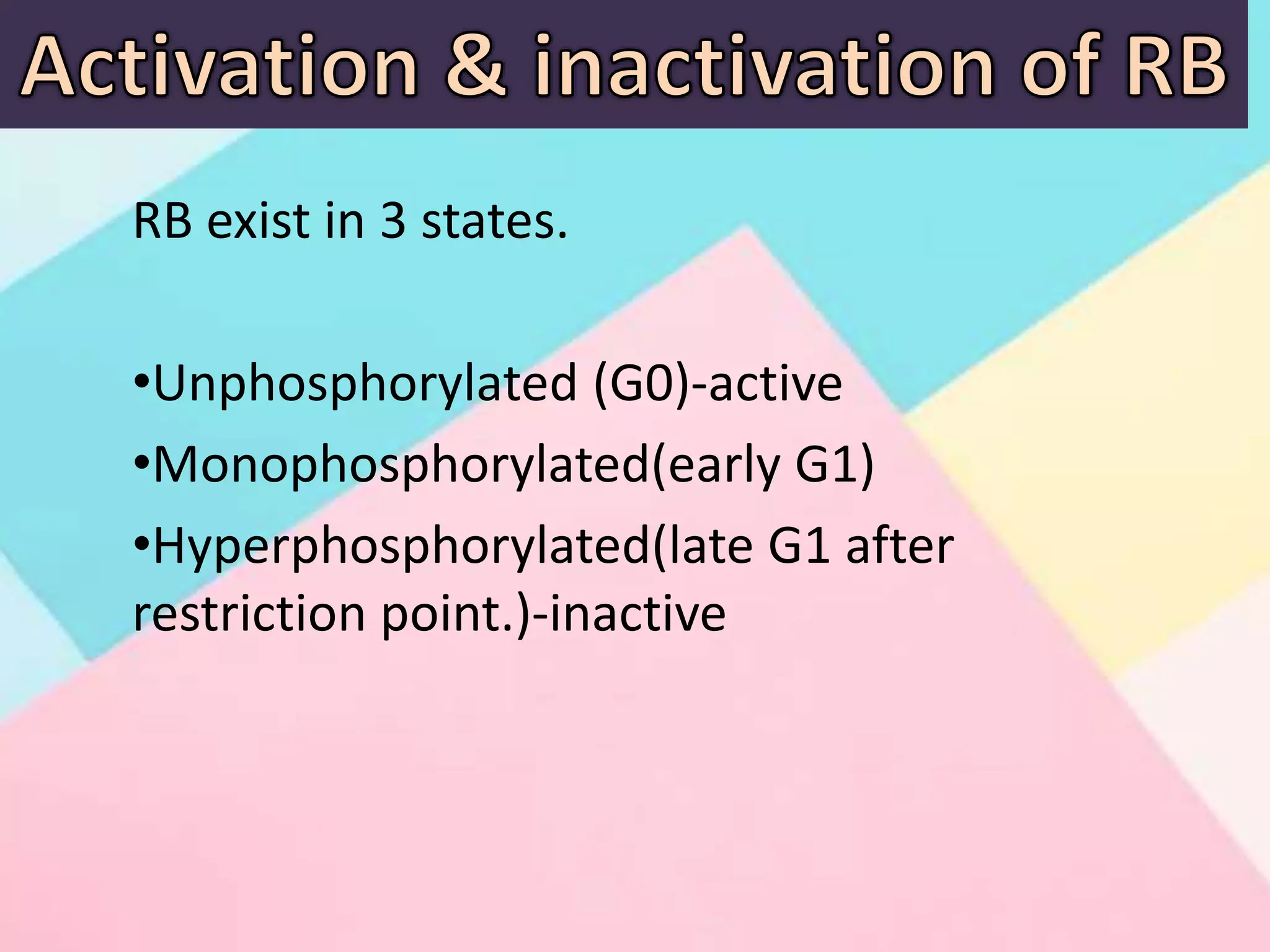 Retinoblastoma protein and gene | PPTX