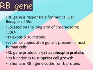 Retinoblastoma protein and gene | PPTX | Genetics | Science