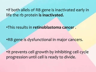 Retinoblastoma protein and gene | PPTX | Genetics | Science