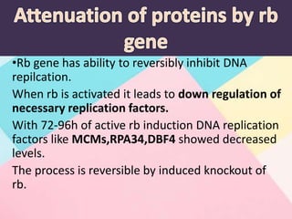 Retinoblastoma protein and gene | PPTX | Genetics | Science