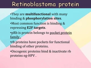 Retinoblastoma Protein