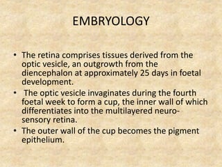 Retinopathy of prematurity | PPTX