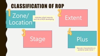 Retinopathy of Prematurity (ROP).pptx slides | PPTX