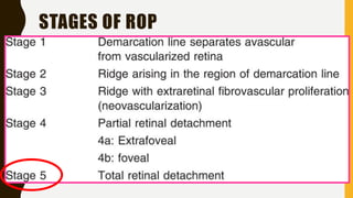 Retinopathy of Prematurity (ROP).pptx slides | PPTX